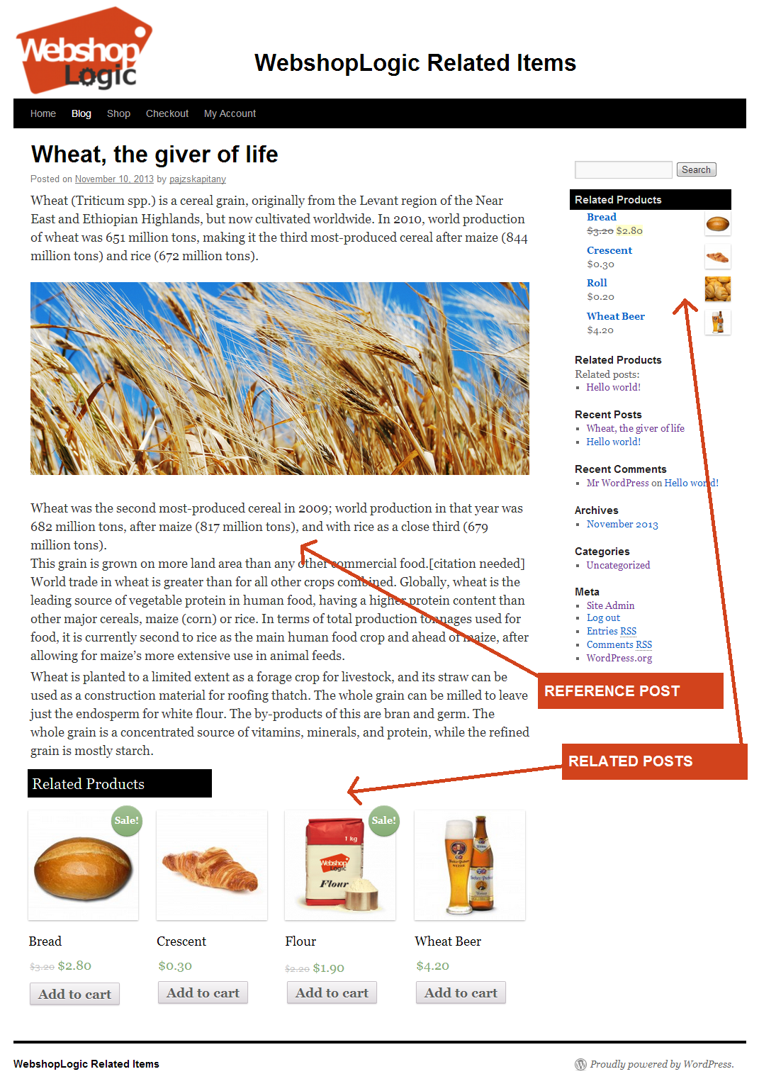 WP Related Posts and Products Pro plugin | WebshopLogic - WordPress and ...